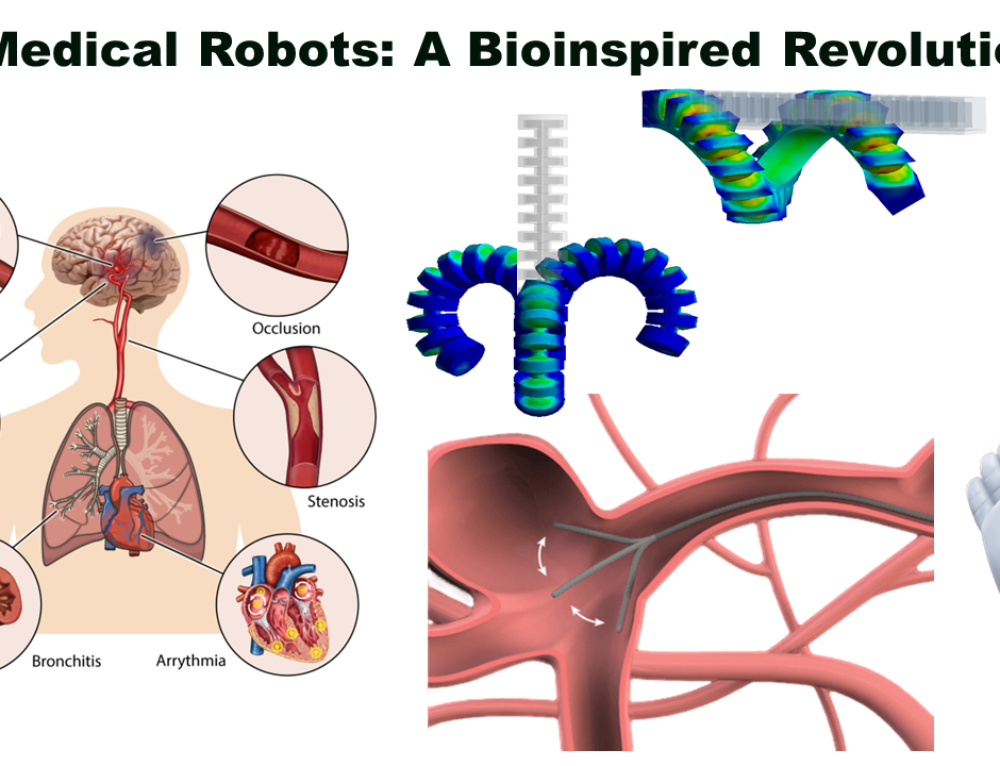 Novel Microcantilevers For Multifrequency Atomic Force Microscopy Precision Mechatronics Lab
